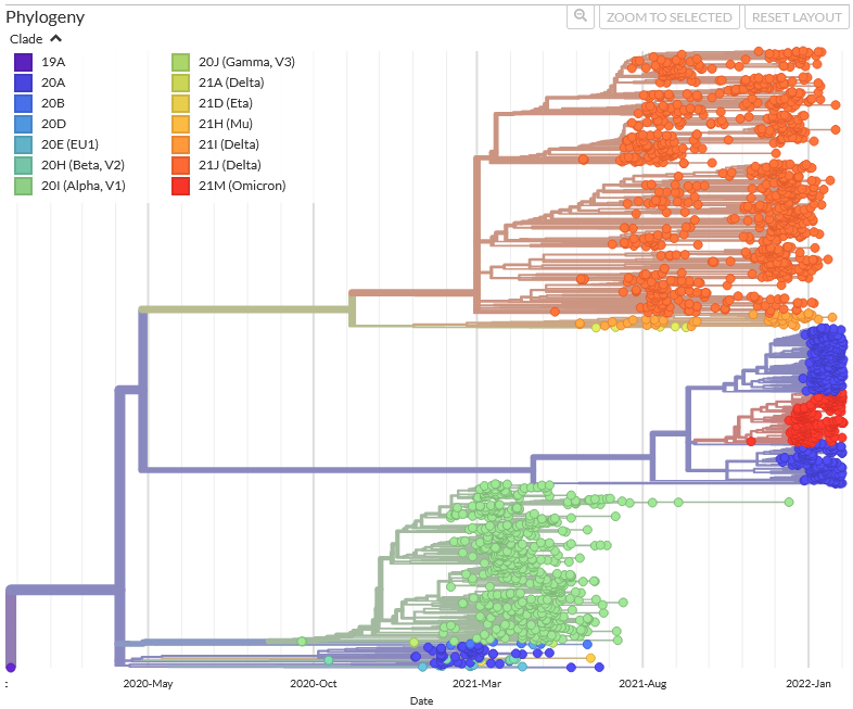 Discrepancy in clade assignment between Nextclade and Augur · Issue ...