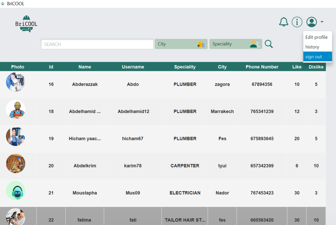GitHub - ShadiaAITELCADI/BriCool