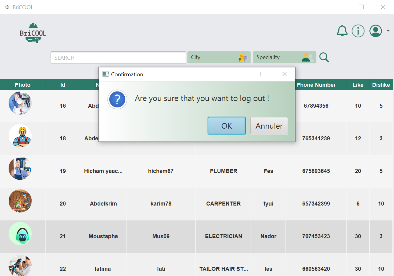 GitHub - ShadiaAITELCADI/BriCool