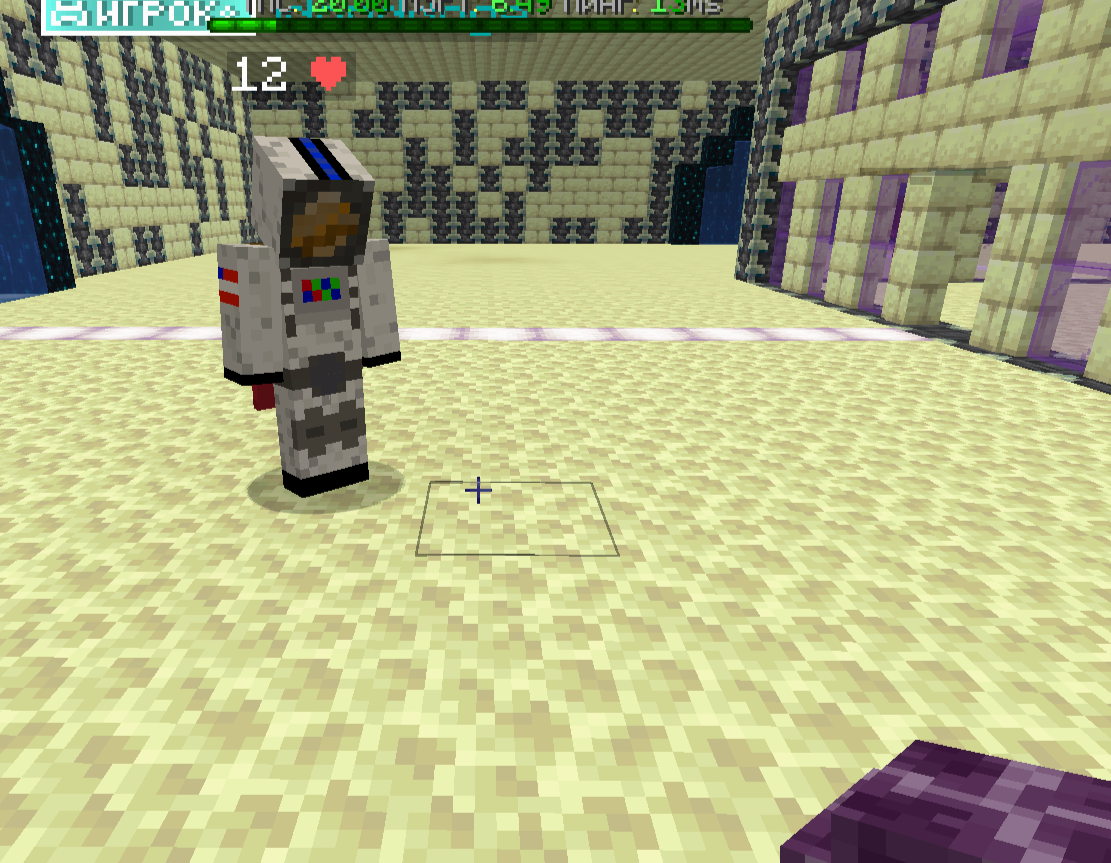 Fantom Chorus blocks and weird chorus plant textures · Issue #3031 · PluginBugs/Issues ...