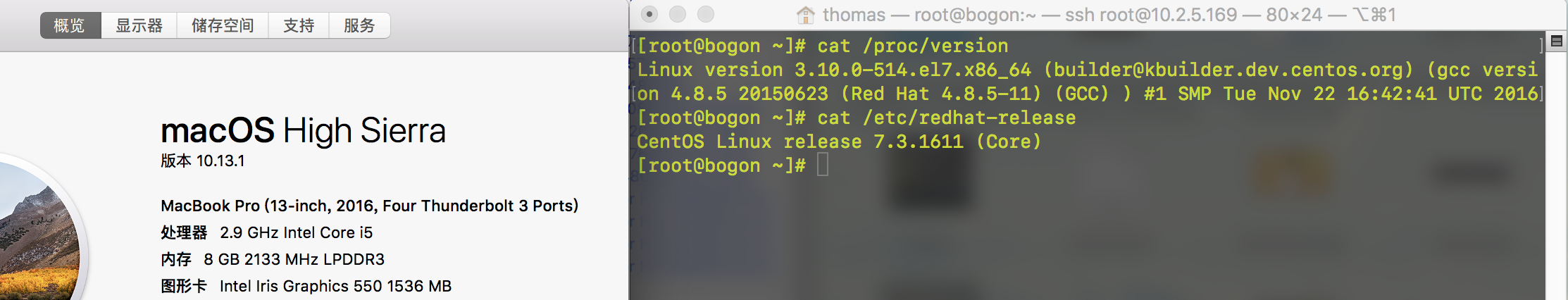 It Should Remind Developers The Networks Diffrence On Windowsmacos In