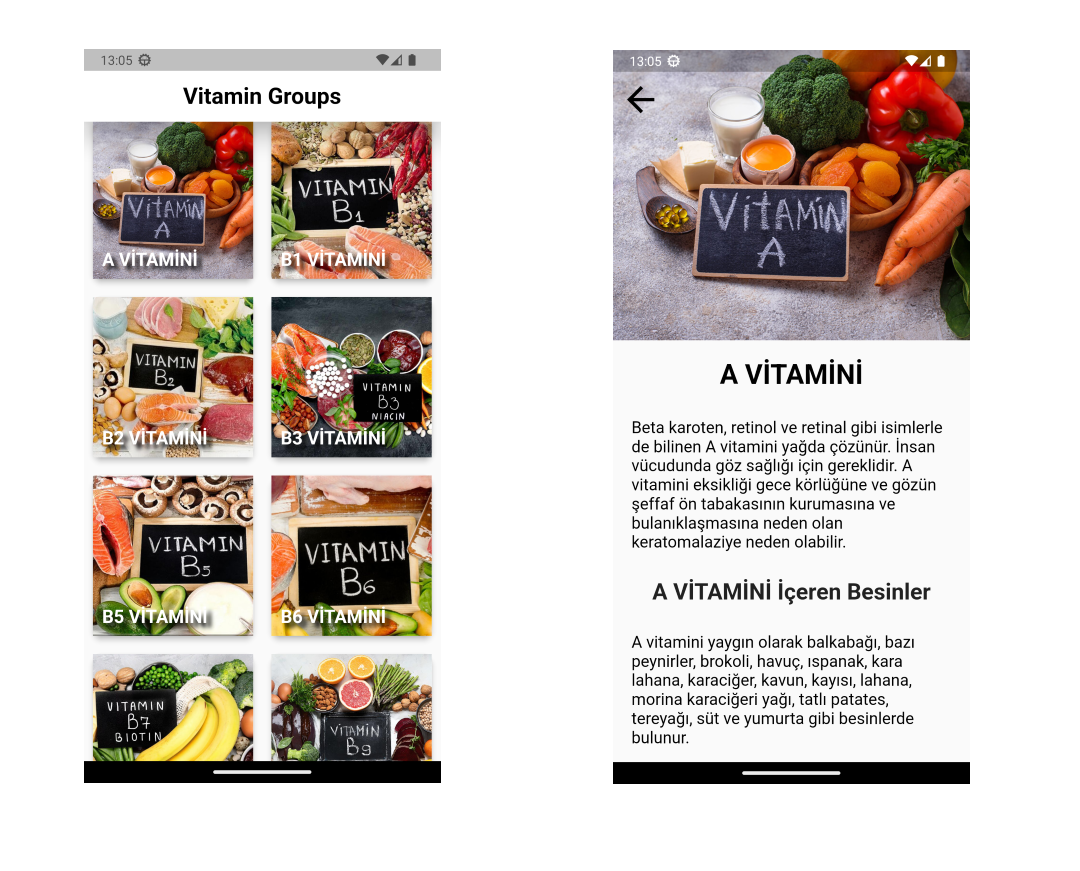GitHub - enesdindar/vitamin_groups_demo: Flutter with JSON