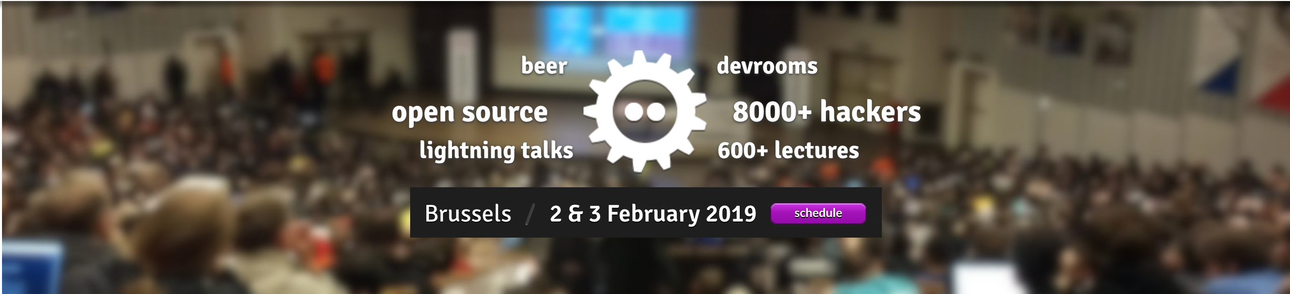 ⚙️ FOSDEM 2019 🎊 · Issue #378 · ipfs/community · GitHub