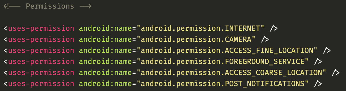 Check background location permission · Issue #103 · capacitor-community/background-geolocation ...