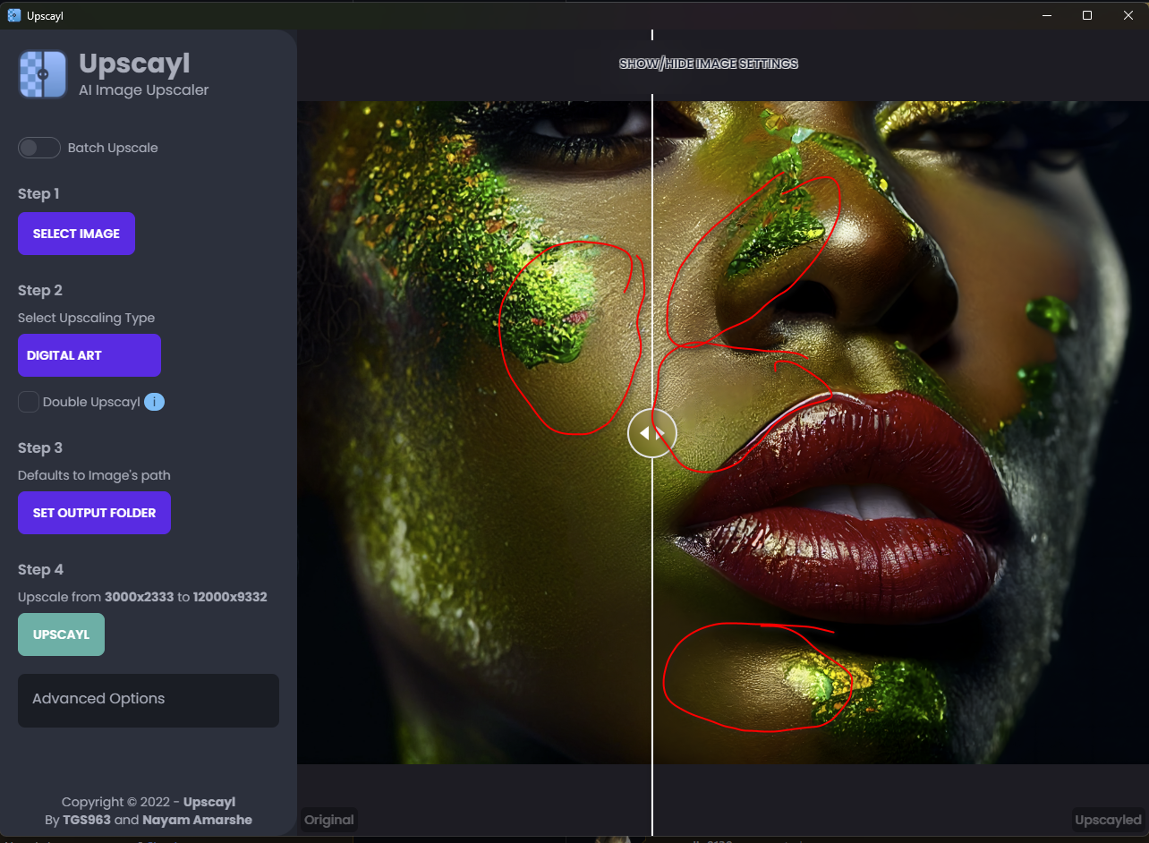 MidJourney V5 upscalying · Issue #252 · upscayl/upscayl · GitHub