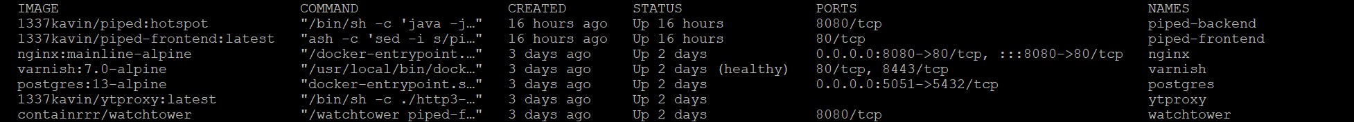 502 Bad Gateway Self-Hosting · Issue #1087 · TeamPiped/Piped · GitHub