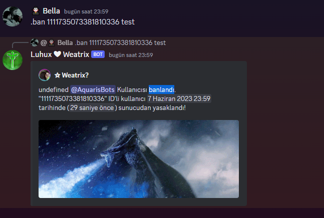 GitHub - Weatrixcik/v14-supervisor-bot