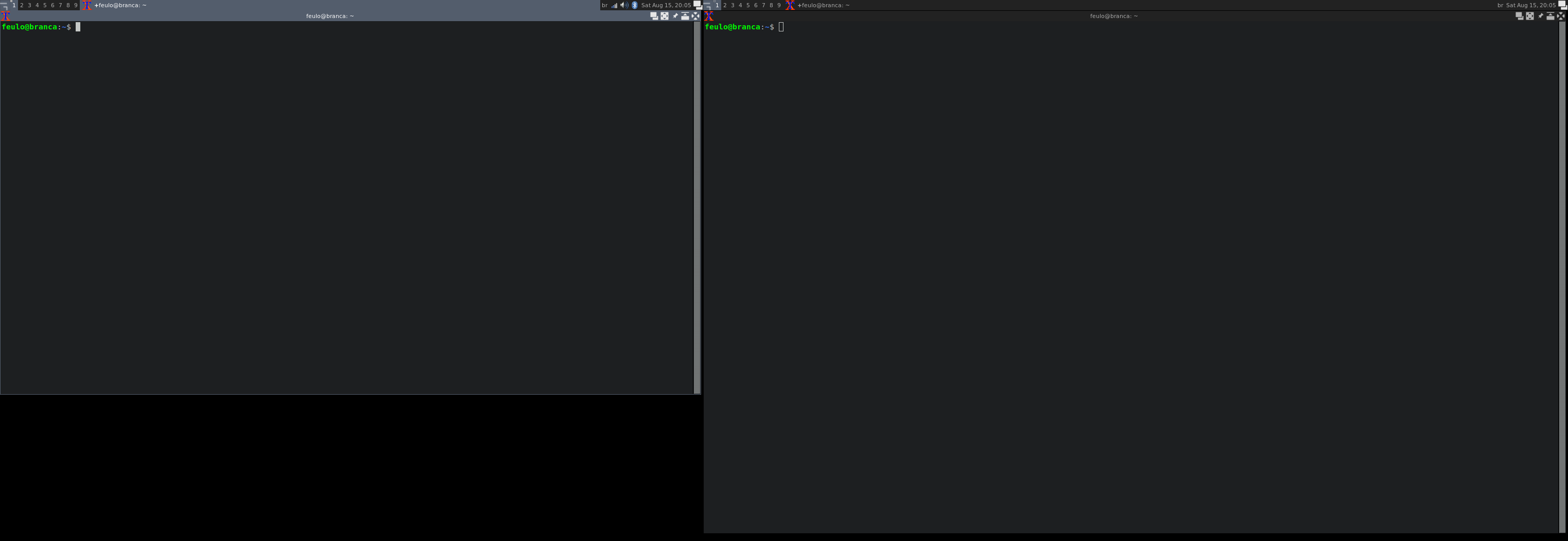 conky makes maximized windows to have half of screen height when I have ...