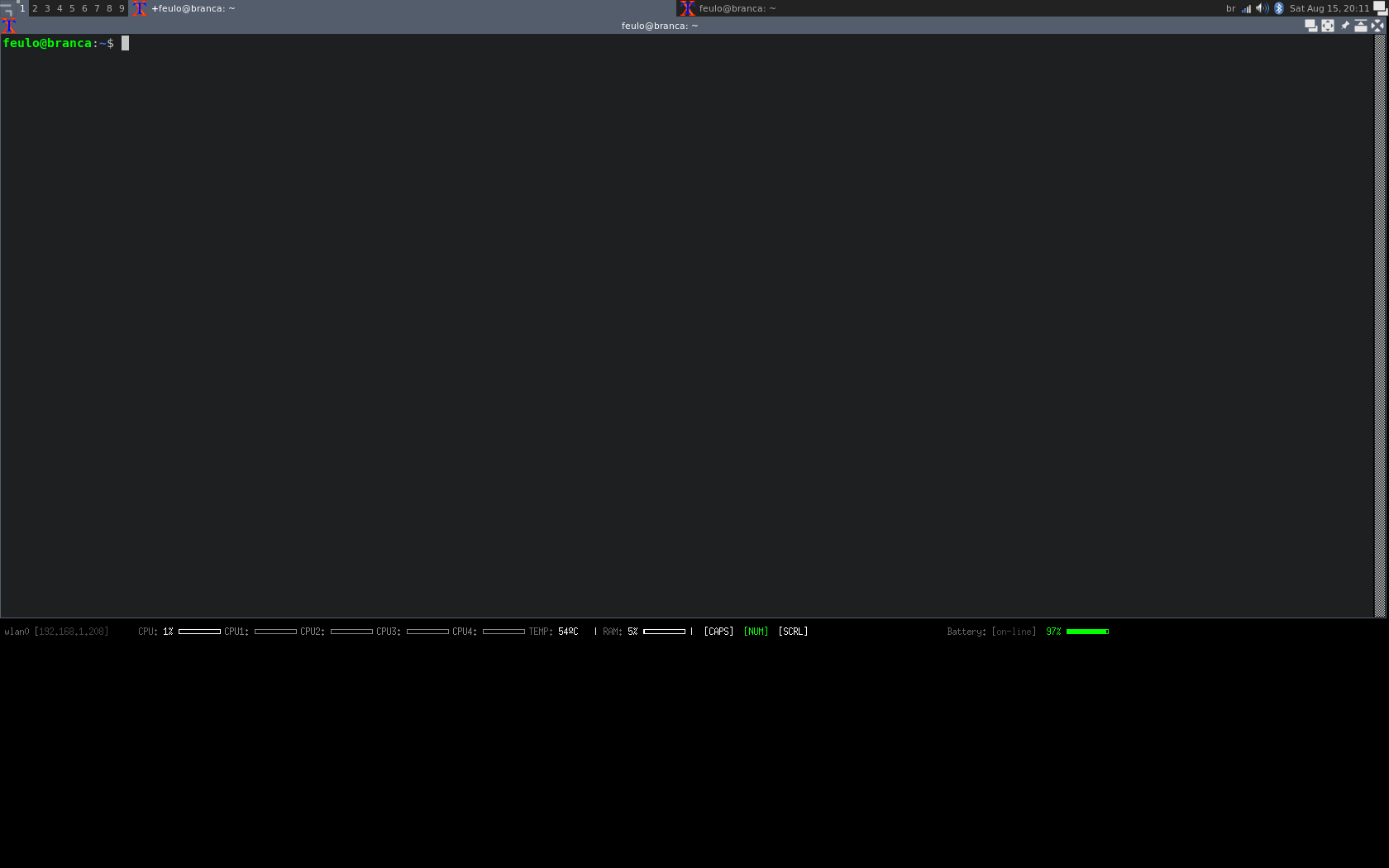 conky makes maximized windows to have half of screen height when I have ...