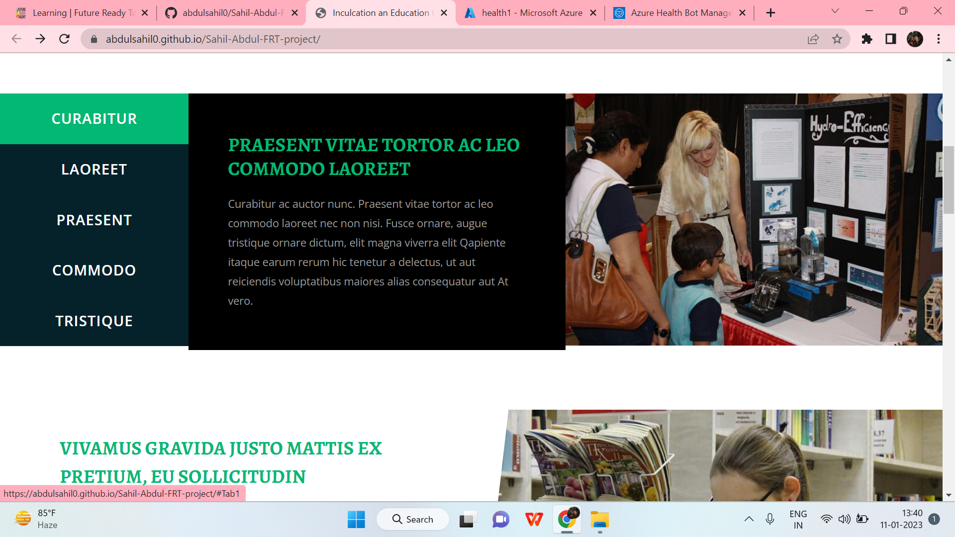 GitHub - abdulsahil0/Sahil-Abdul-FRT-project