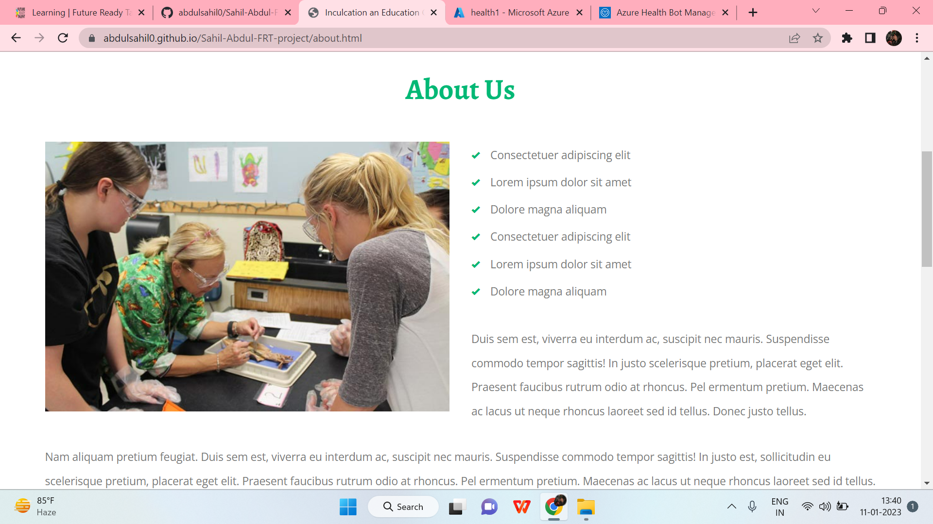 GitHub - abdulsahil0/Sahil-Abdul-FRT-project