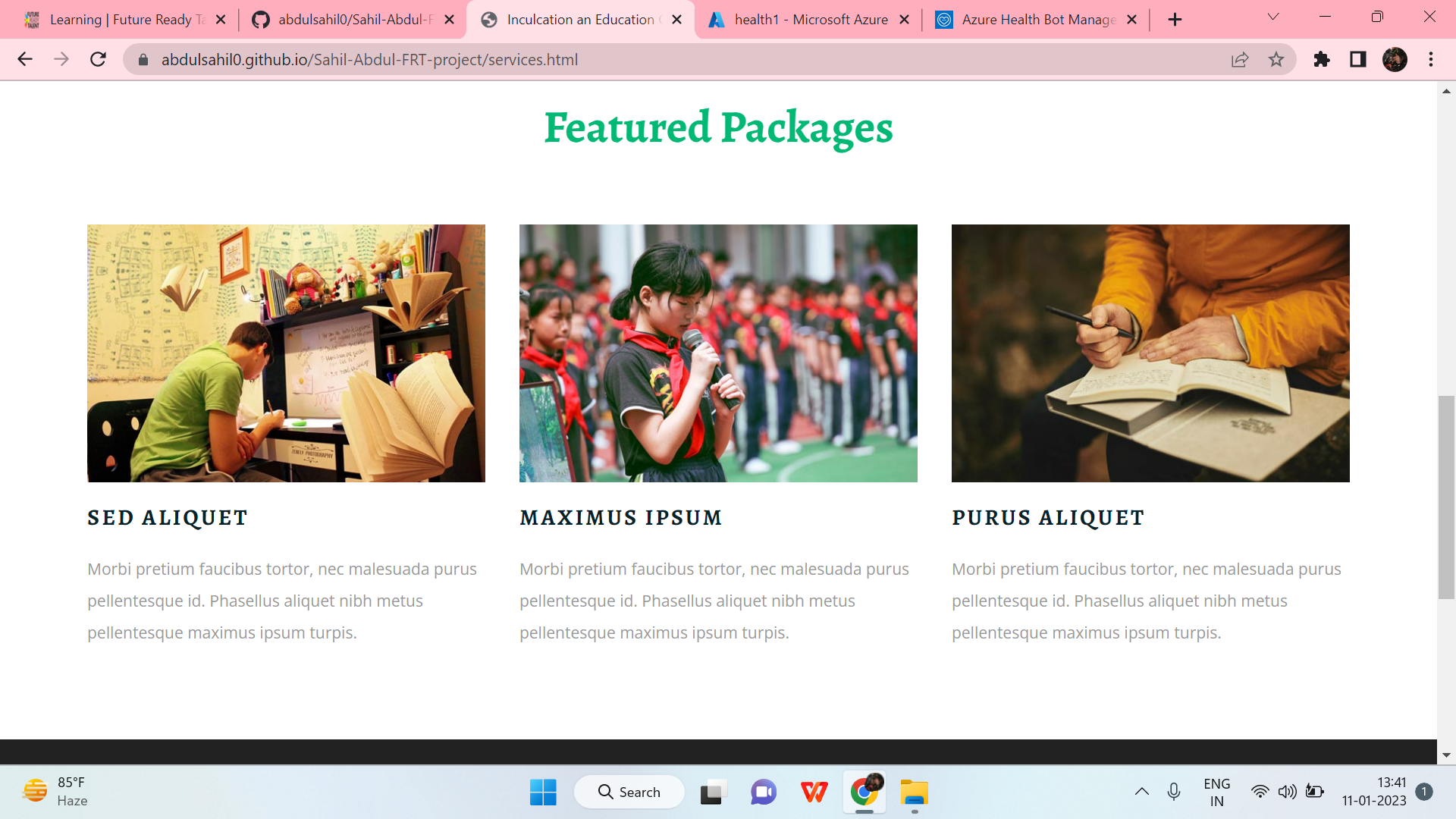 GitHub - abdulsahil0/Sahil-Abdul-FRT-project
