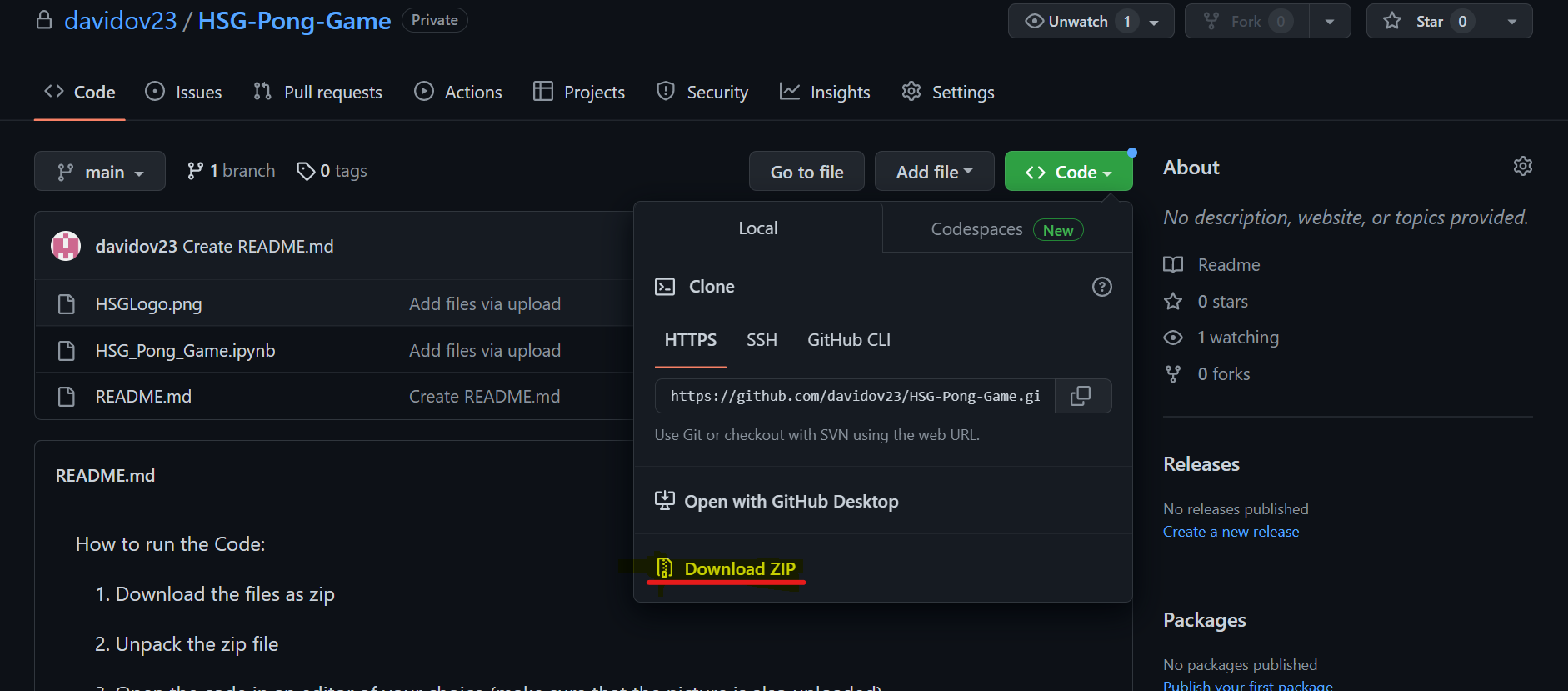 GitHub - davidov23/HSG-Pong-Game