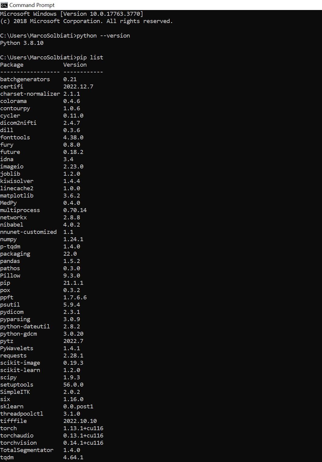 how to use it · Issue #44 · wasserth/TotalSegmentator · GitHub