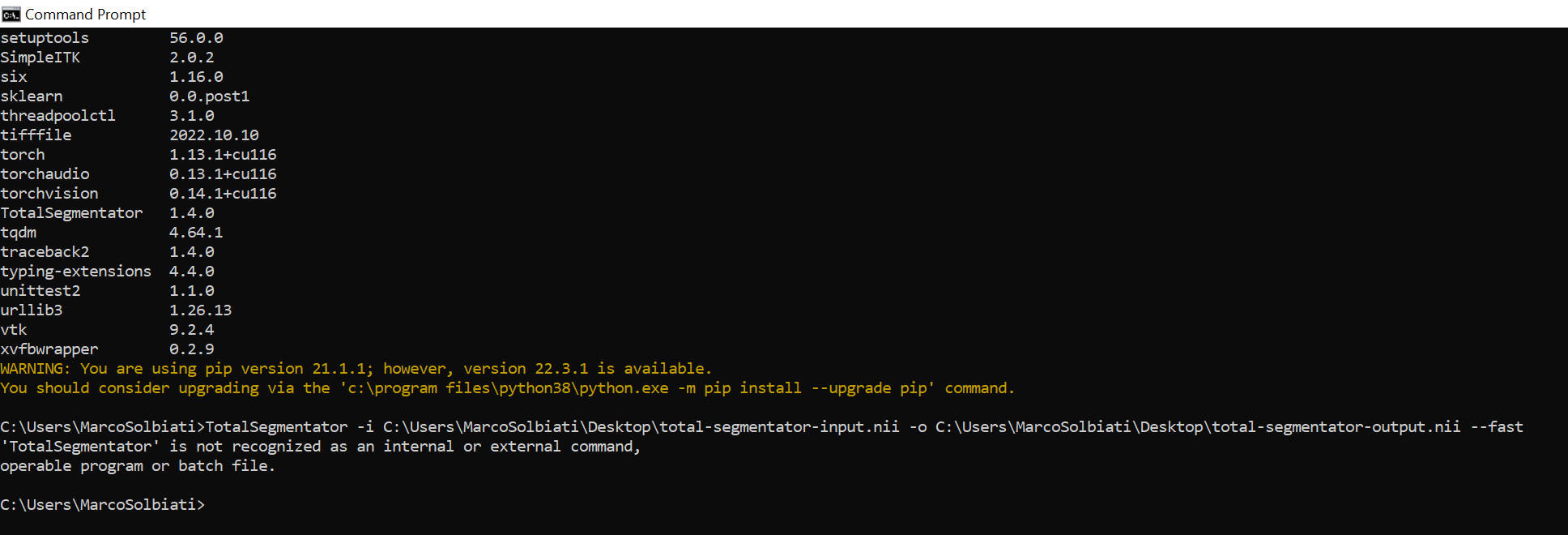 how to use it · Issue #44 · wasserth/TotalSegmentator · GitHub