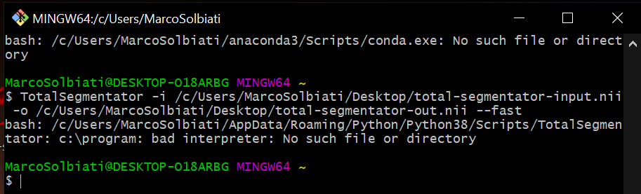how to use it · Issue #44 · wasserth/TotalSegmentator · GitHub