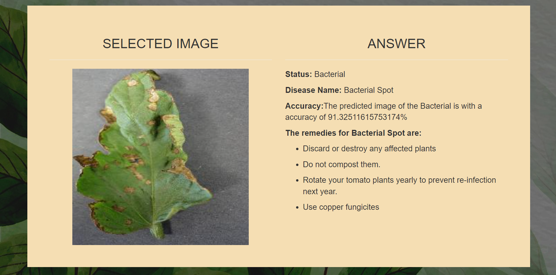 GitHub - nirajccs1999/Tomato_leaf_disease_detection: Detect and ...