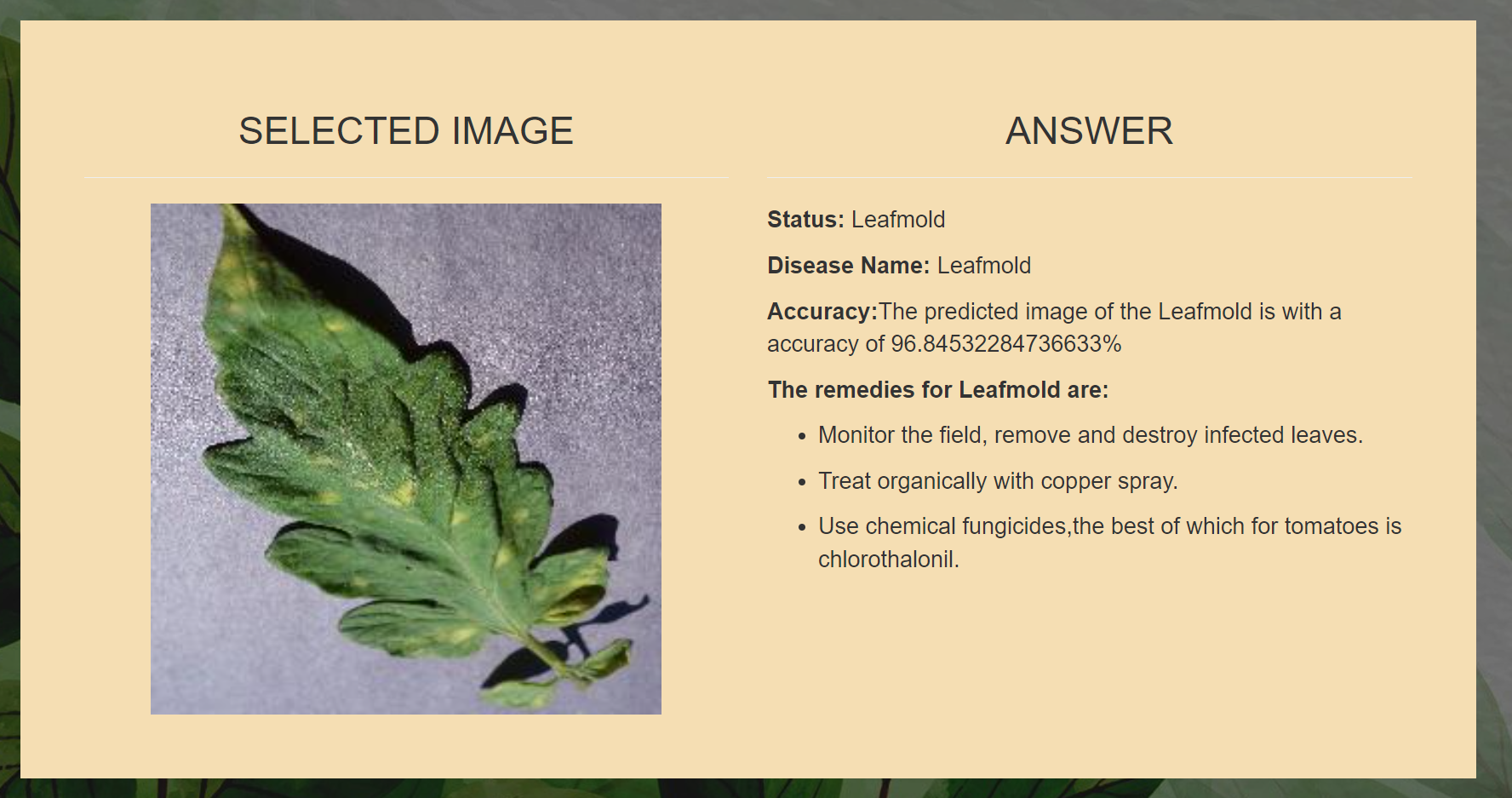 Github Nirajccs1999 Tomato Leaf Disease Detection Detect And Classify Tomato Leaf Diseases