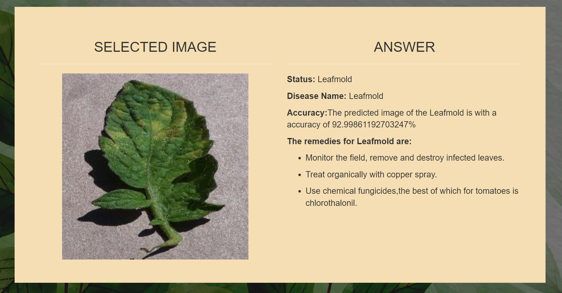 GitHub - nirajccs1999/Tomato_leaf_disease_detection: Detect and ...