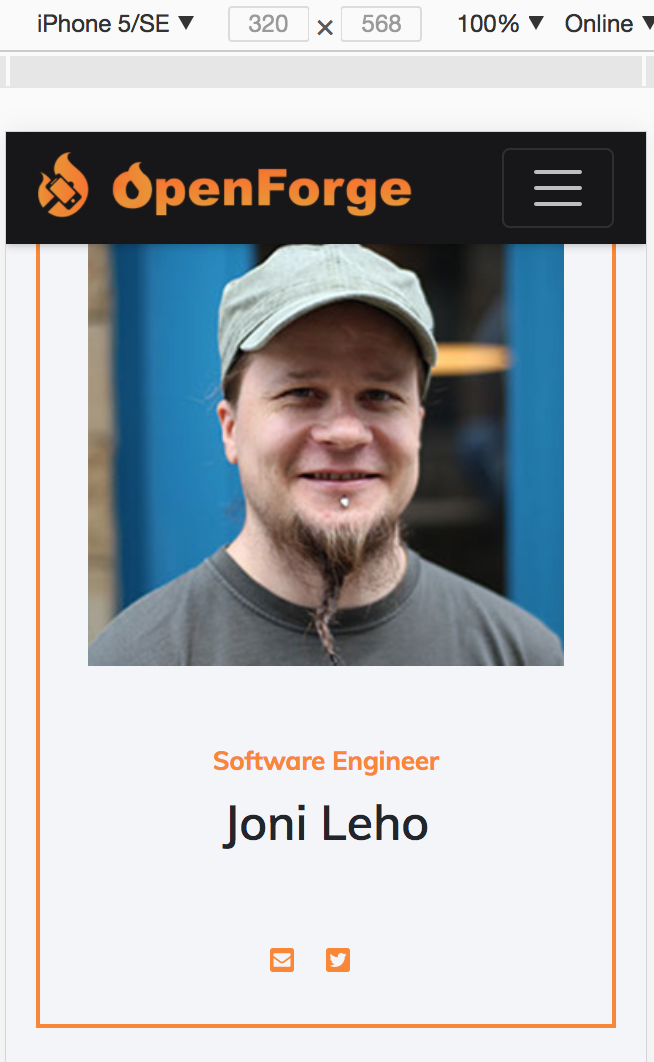 bug-UI(home page - meet the team): Employee profiles do not match design · Issue #111 ...