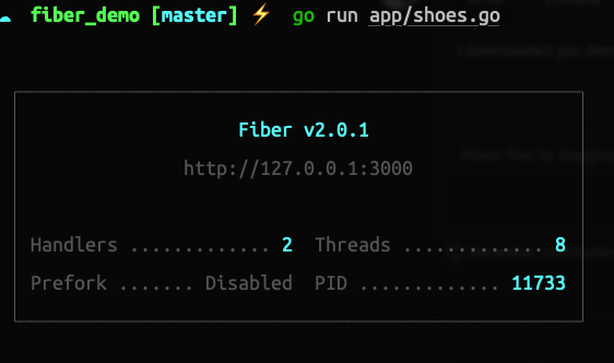 🤗Freeze after upgrade · Issue #807 · gofiber/fiber · GitHub