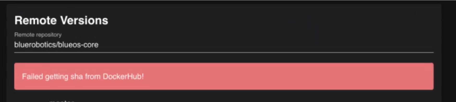 Getting failed getting sha from DockerHub · Issue #1368 · bluerobotics/BlueOS · GitHub