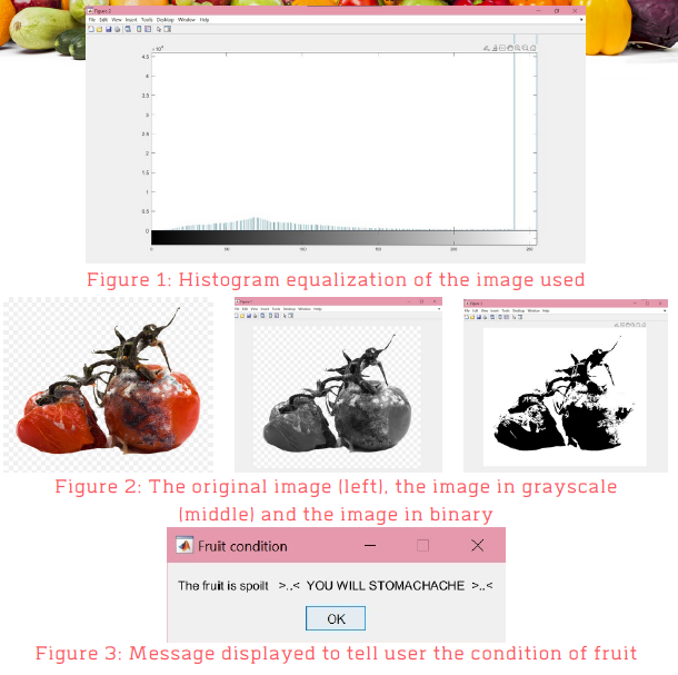 GitHub - n-miera/Fruit-Spoilage-Detection-System