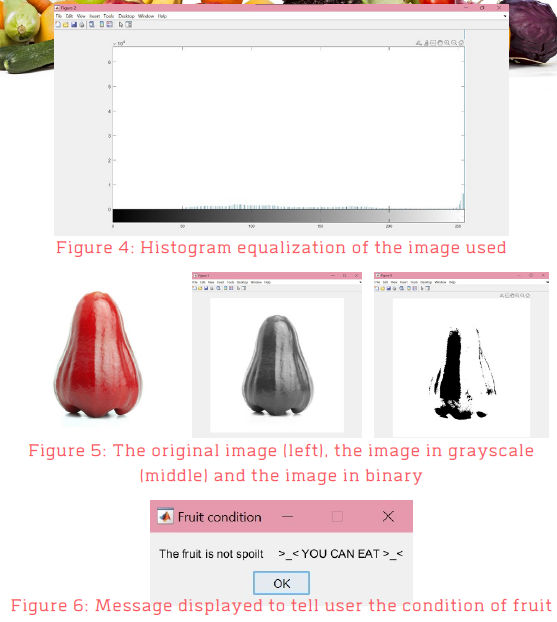 GitHub - n-miera/Fruit-Spoilage-Detection-System