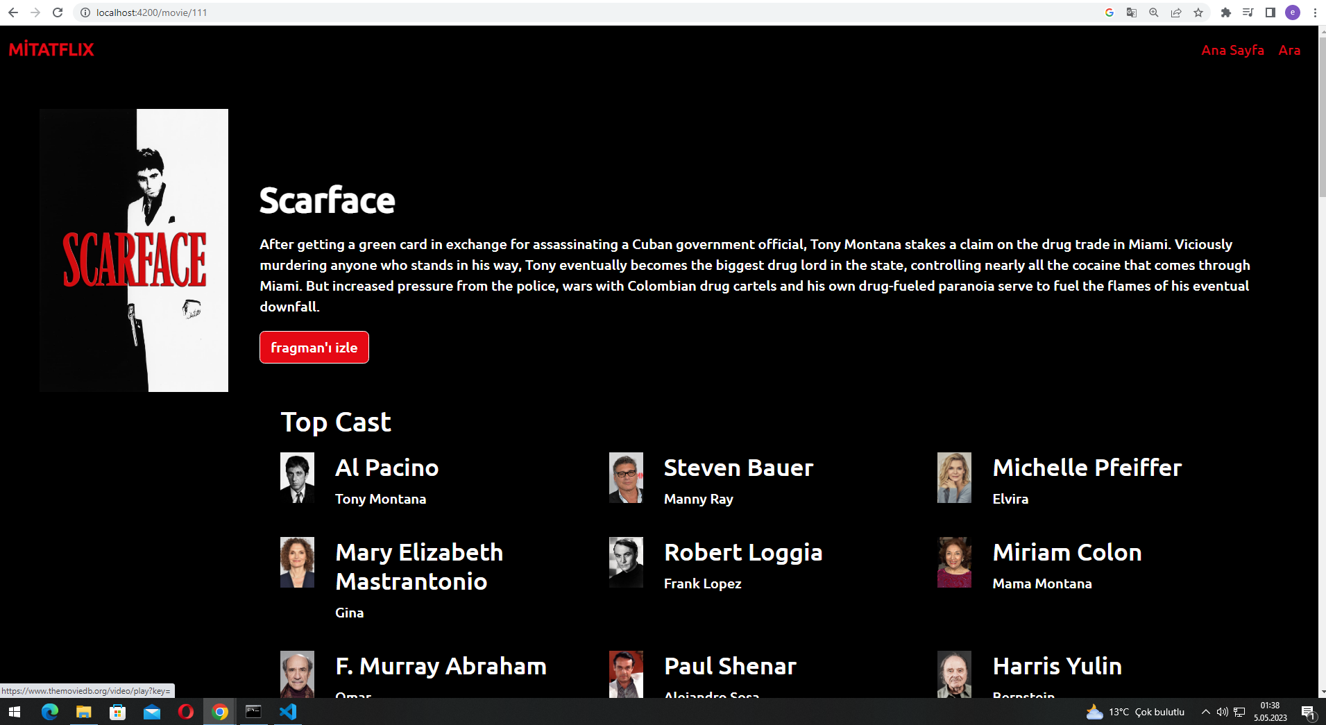 GitHub - emregncc7/netflixClone
