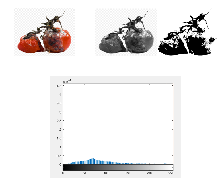 Fruit-Spoilage-Detection-System/PMP/C-PROJECT_IMPLEMENTATION.md at main ...