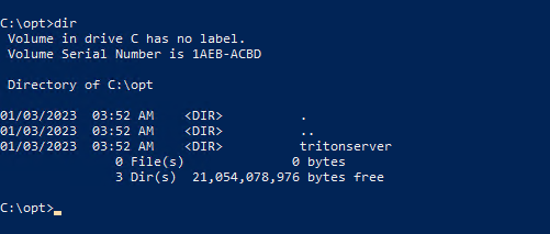 How to start triton server after building the Windows 10 "Min" Image? · Issue #5207 · triton ...