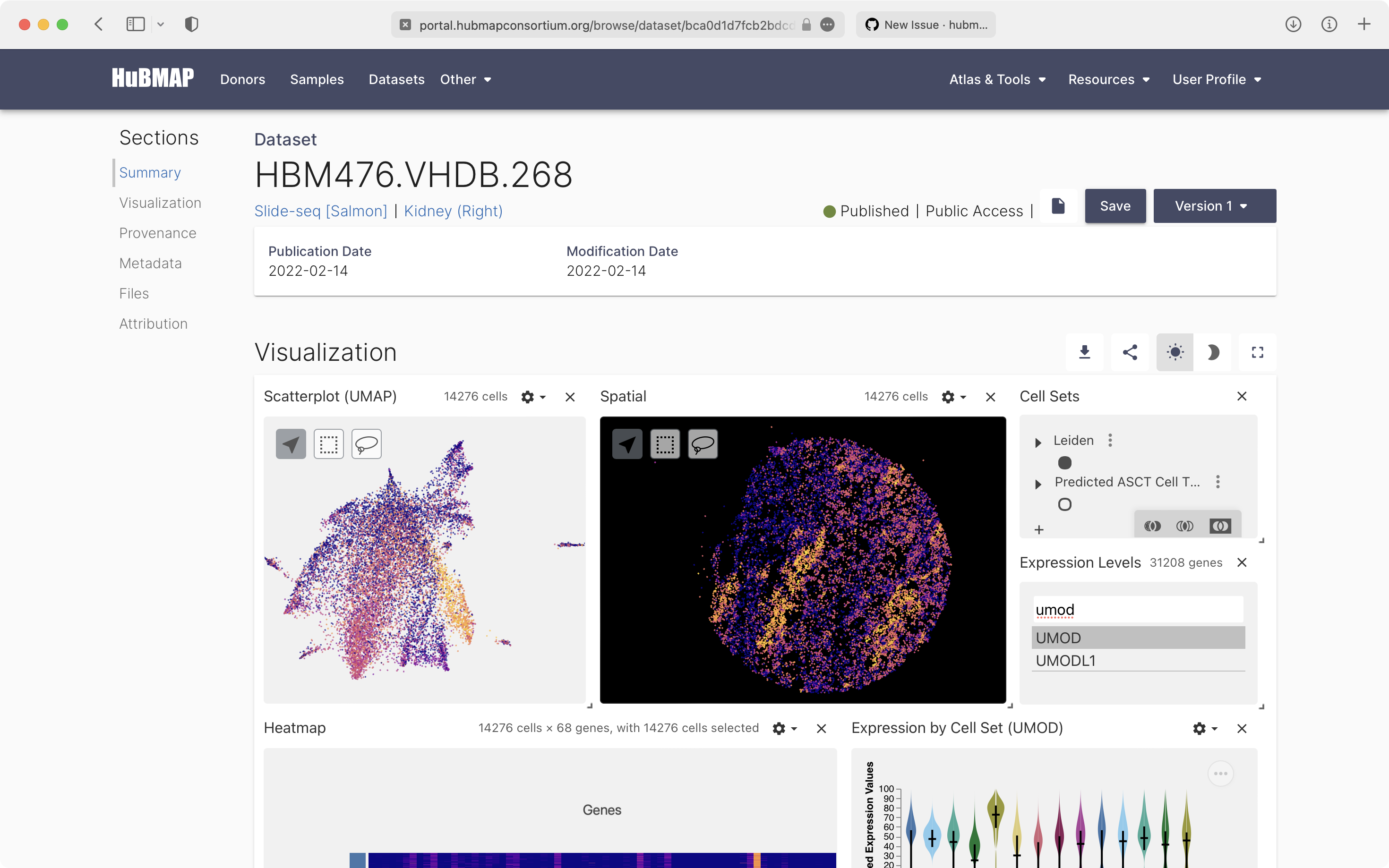 Marker quantification not shown in Vitessce spatial view on dataset ...