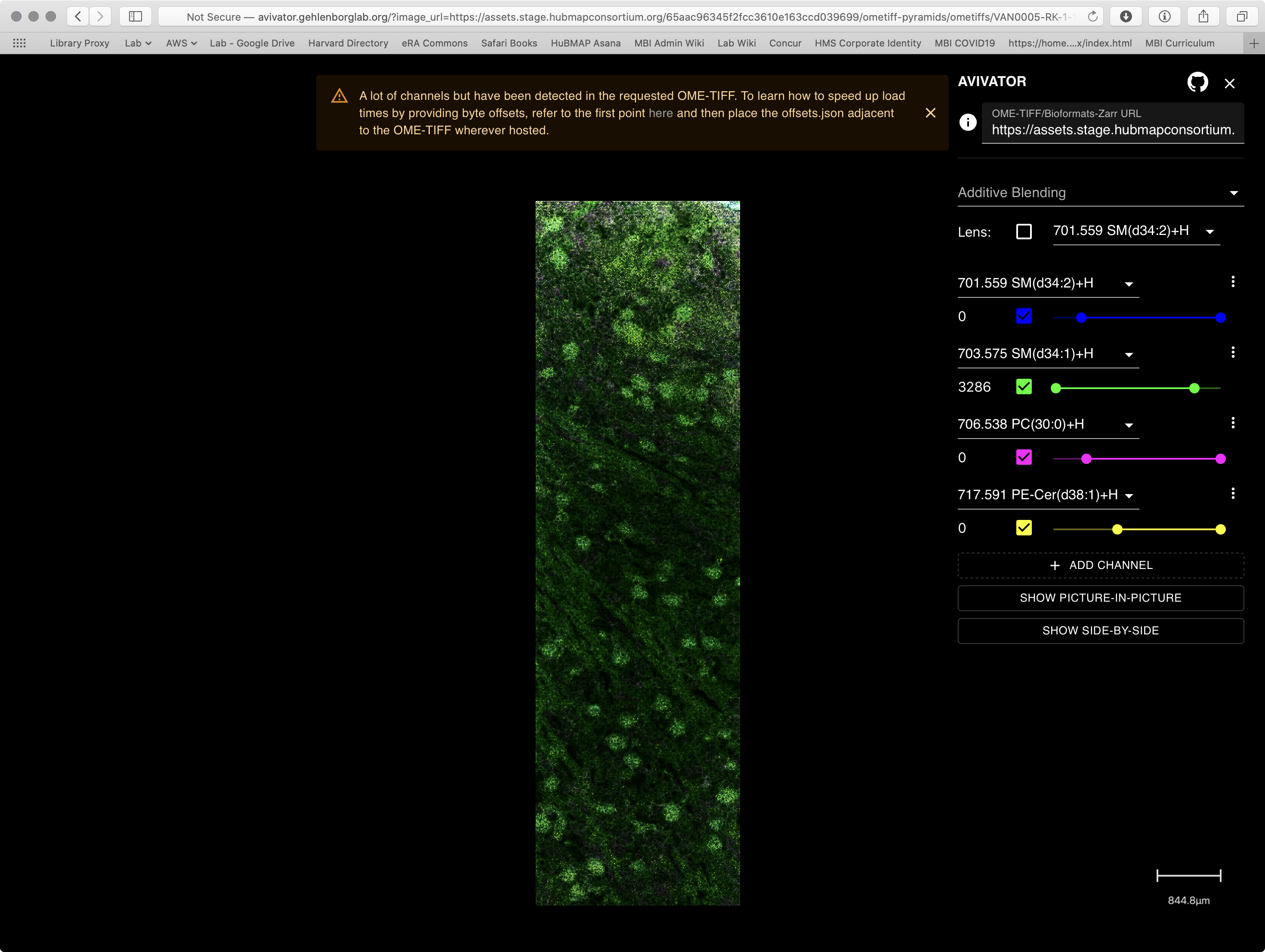 Globus access and provenance table for public datasets do not work · Issue #1085 ...