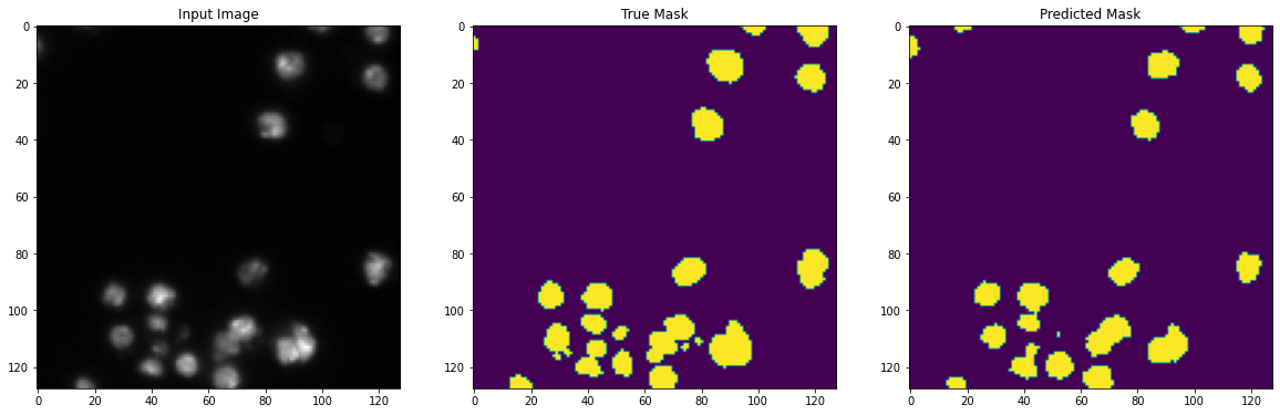 GitHub - HakeemAfiq/Unet-Image-Segmentation-of-Nuclei-Images