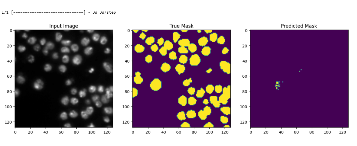 GitHub - Mzahid87/Semantic_Segmentation_containing_images_cell_neuclei