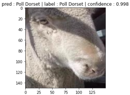 GitHub - watthsup/CNN-Transfer-Learning-for-Sheep-Breed