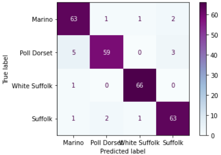GitHub - watthsup/CNN-Transfer-Learning-for-Sheep-Breed