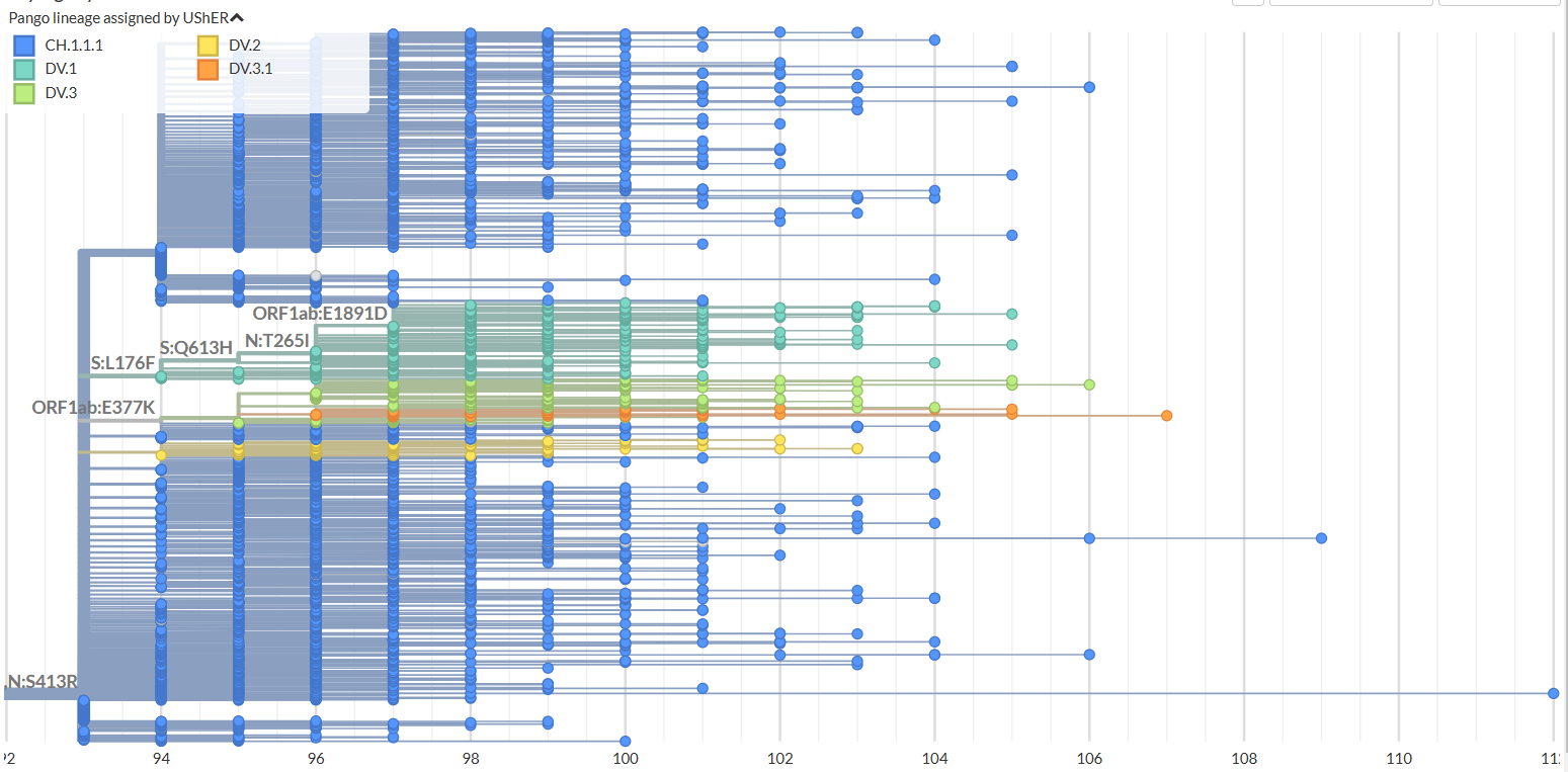DV.1 with S:Q613H [343 sequences, United Kingdom Canada and Iceland] · Issue #1720 · cov ...