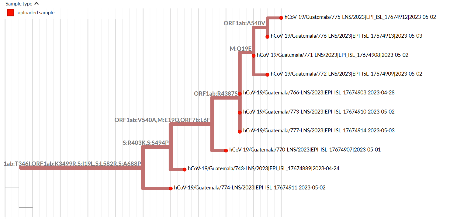 XBB.1/XBB.1.5 Sublineage with S:I19L, S:K147N, S:R403K, S:S486P, S:S494P, S:L582R, S:A688P ...