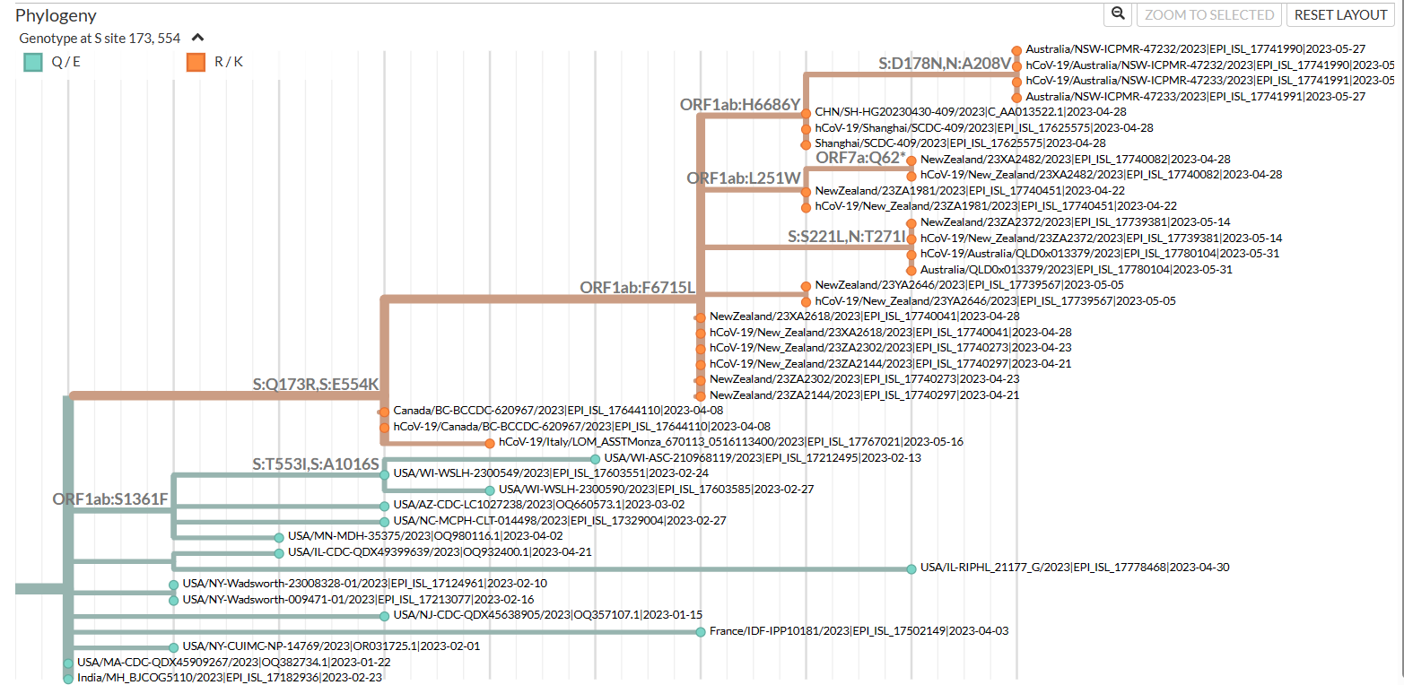 XBB.1.5 sublineage with S:Q173R and S:E554K (17 seqs in 6 countries ...