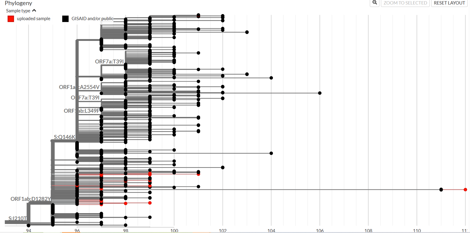 Fy31 Sublineage With Nucleotide Deletion 22294 22296 Sl244 And Sh245f 20 Seqs In 5 
