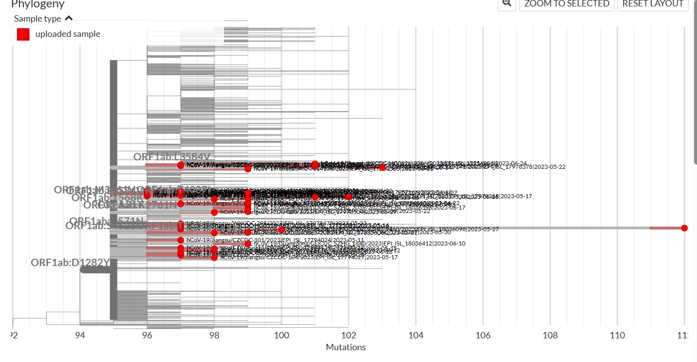 Fy31 Sublineage With Nucleotide Deletion 22294 22296 Sl244 And Sh245f 50 Seqs In 6