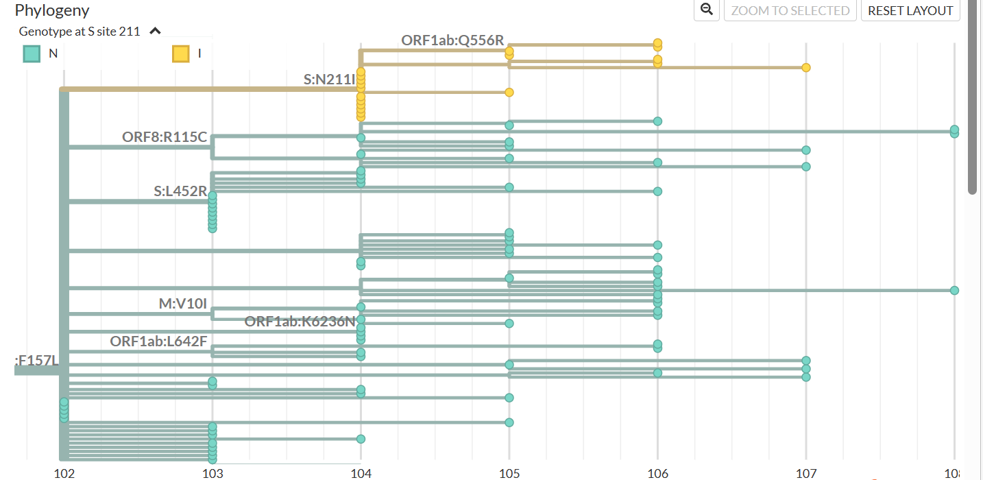EG.5.1.6 sublineage with S:N211I (73 seqs in 7 countries, ) · Issue ...