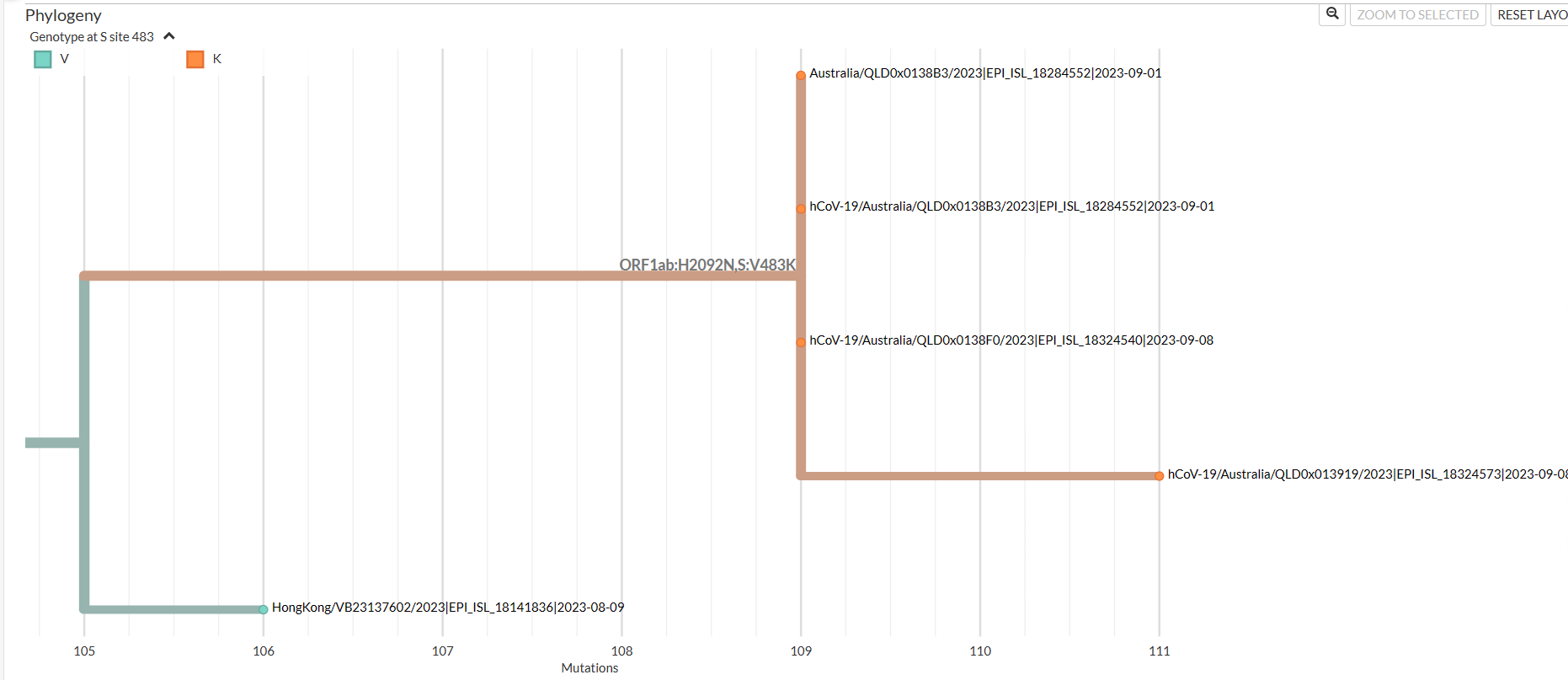 EG.5.1 (or EG.5.1.6) sublineage with 3-nuc Spike mutation S:V483K (7 seqs mainly Queensland +1 ...
