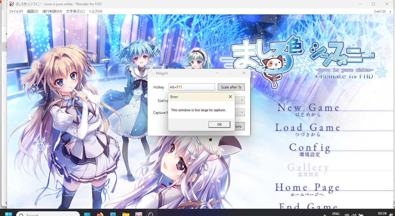 Desktop Duplication Window Is Too Large To Capture · Issue 746 · Blinuemagpie · Github 7684