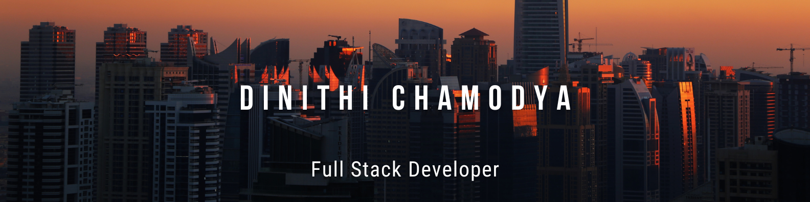 dinithimendis (Dinithi Mendis) · GitHub