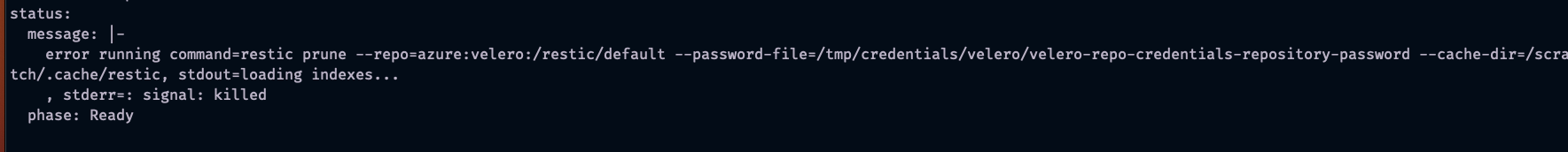 Error running command=restic prune · Issue #6169 · vmware-tanzu/velero · GitHub