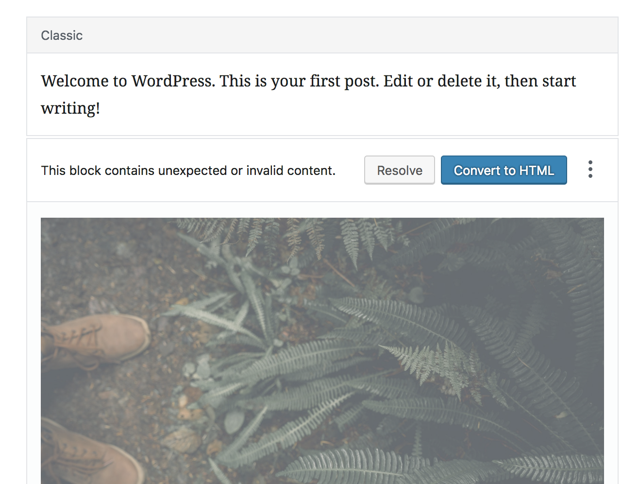 Image block needs to be resolved after first time save · Issue #10515 · WordPress/gutenberg · GitHub
