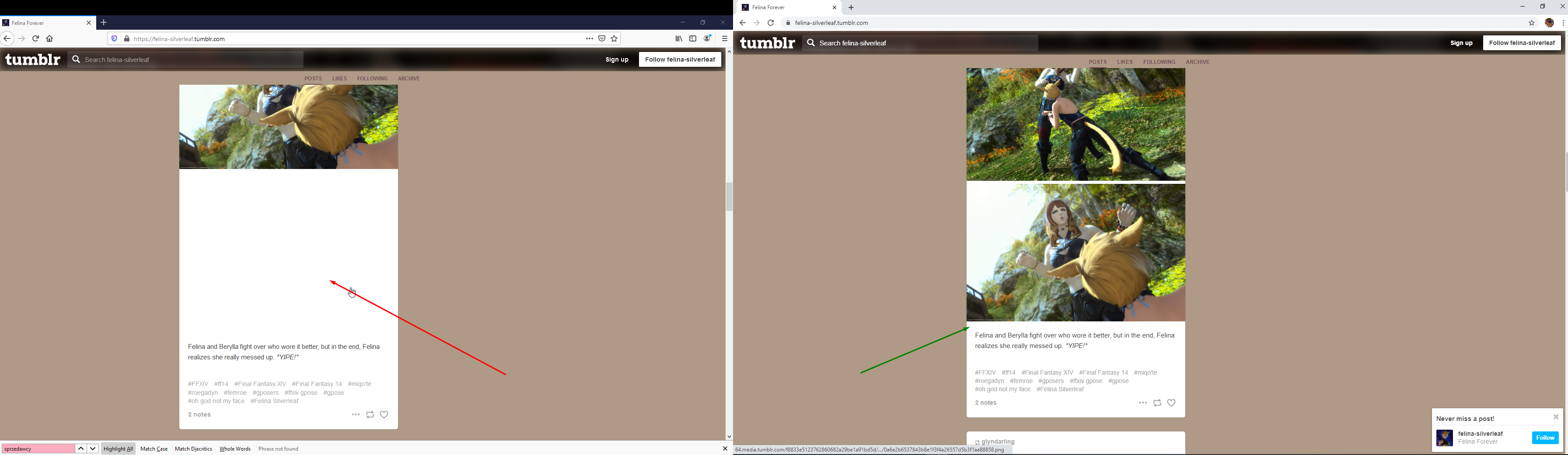 felina-silverleaf.tumblr.com - Unnecessary empty space displayed under the images · Issue #65798 ...