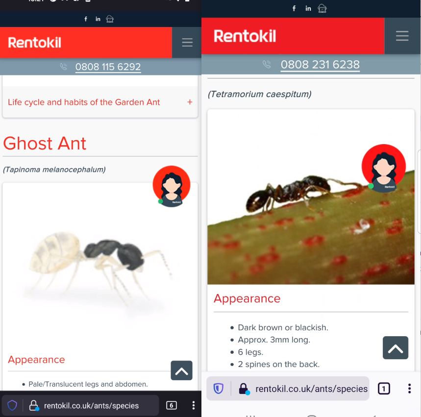 www.rentokil.co.uk - design is broken · Issue #72710 · webcompat/web ...